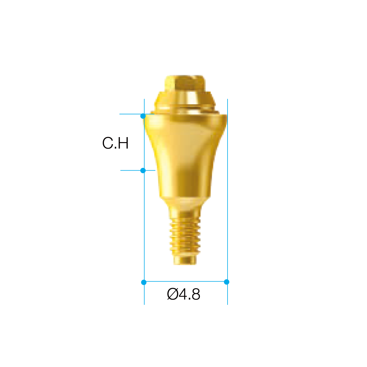 MEGAGEN / Multi-unit Abutment [AO] C.H=4.5/ Straight